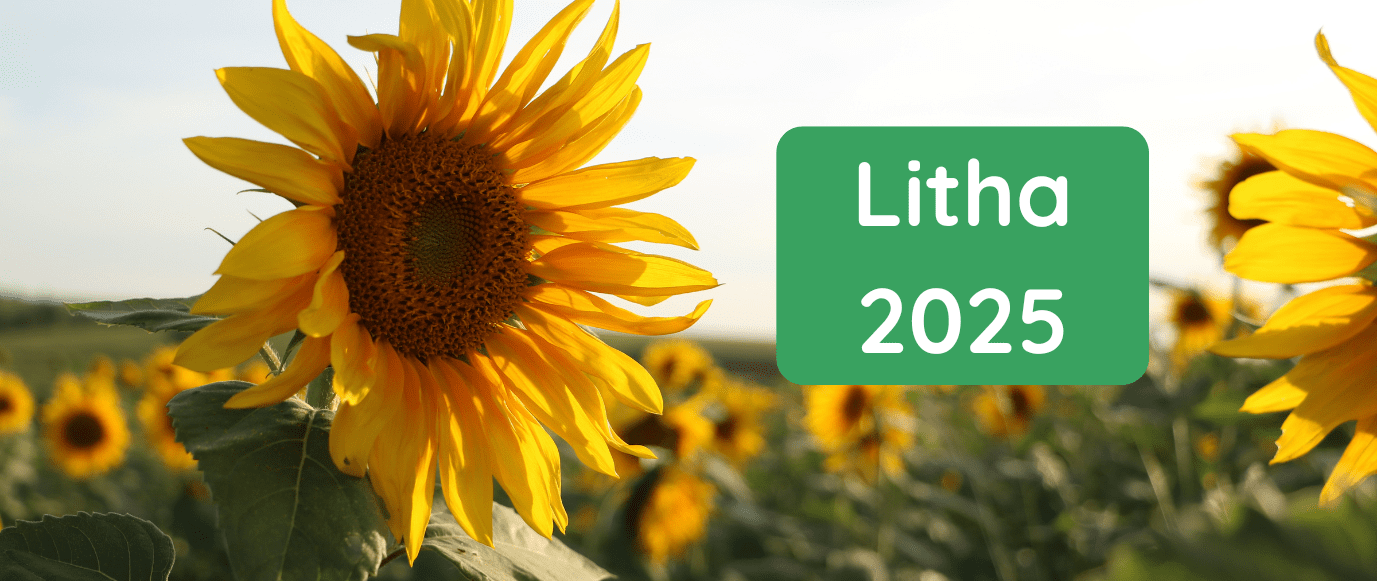 The Litha cart is open! - Pathways Saint Louis